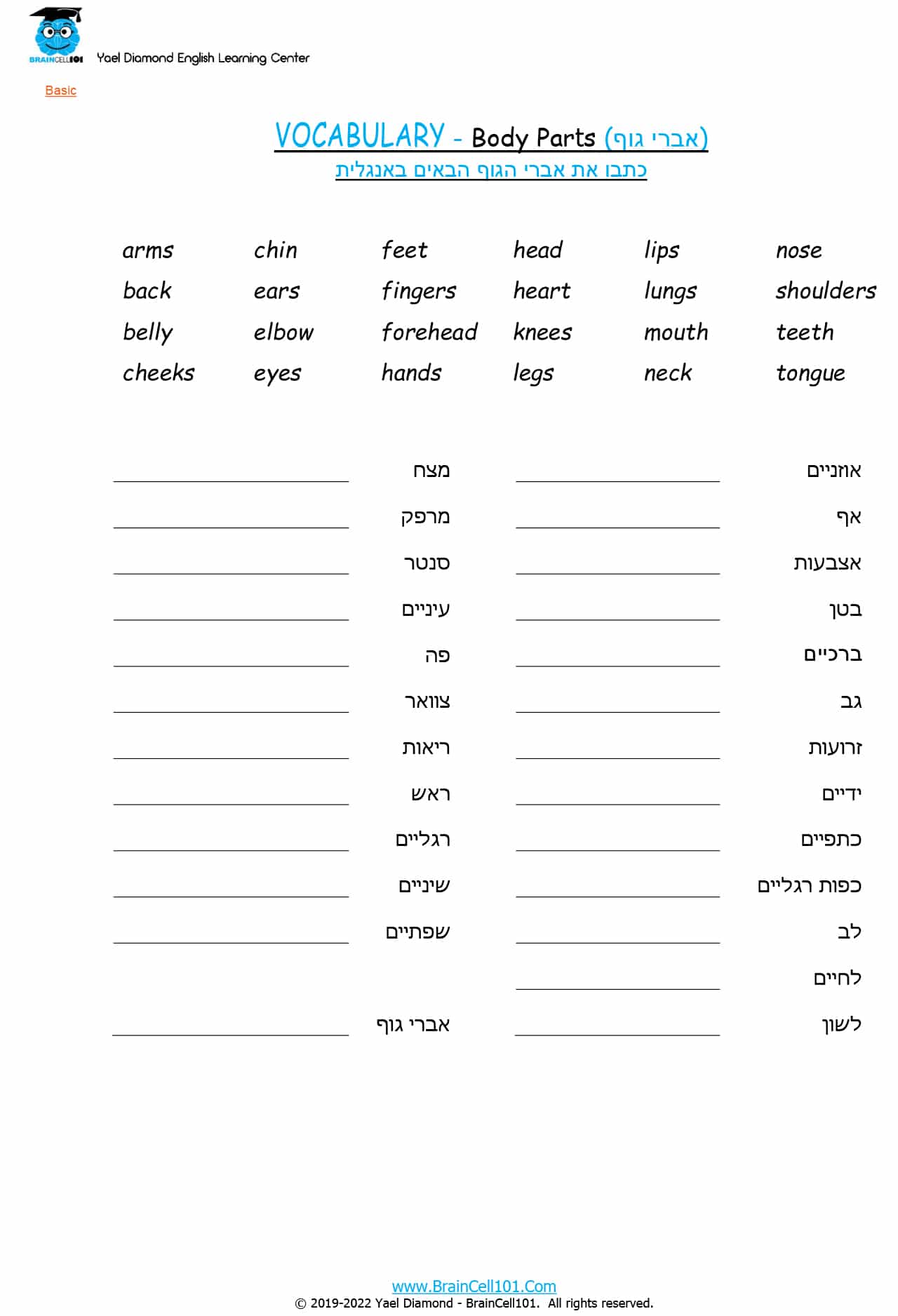 Vocabulary - Body Parts אברי גוף - braincell101